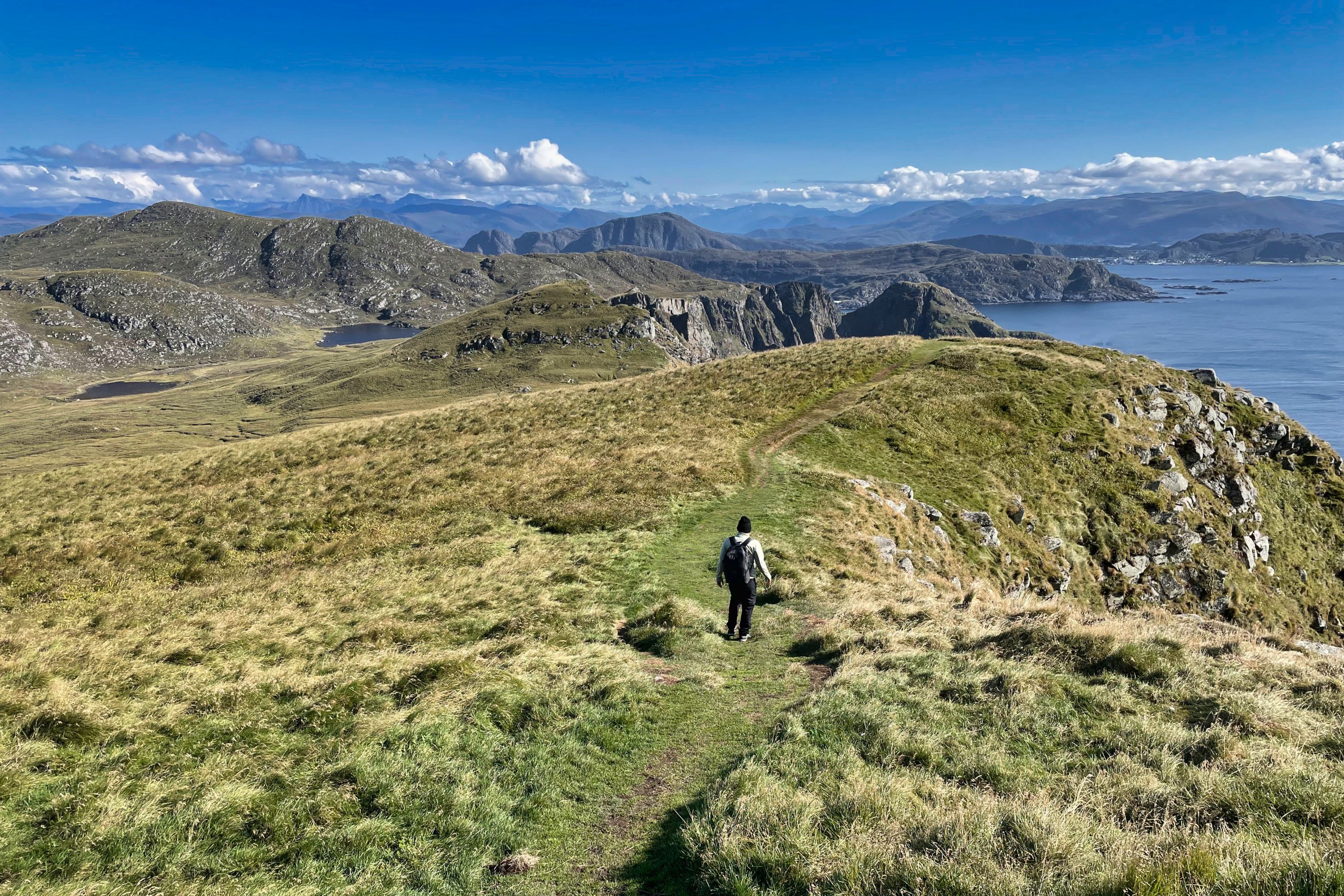 Die Vogelinsel Runde - Ferngeschehen