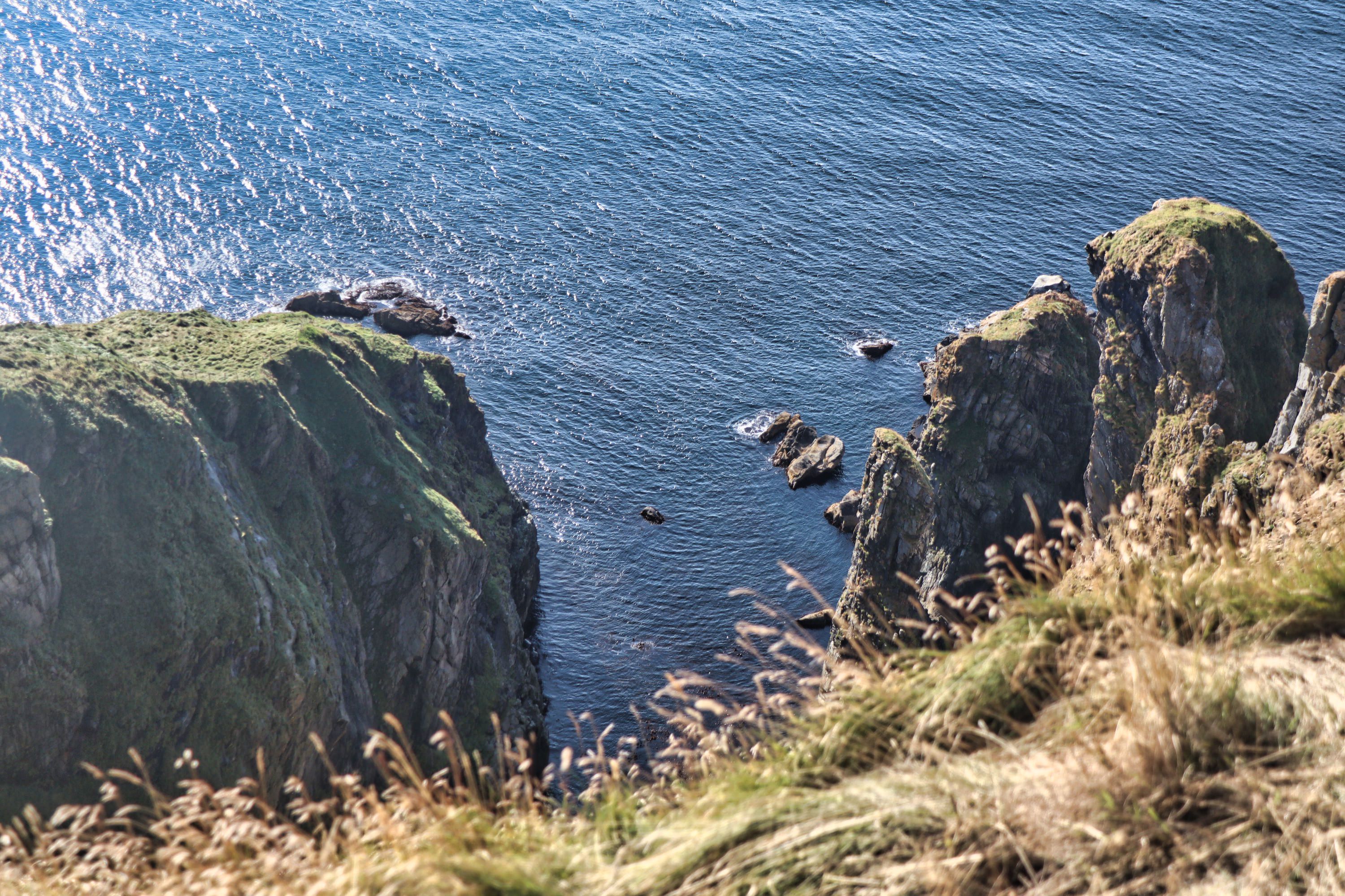 Die Vogelinsel Runde - Ferngeschehen